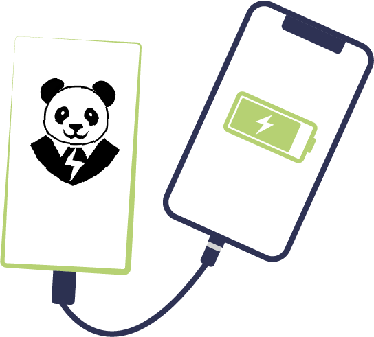 Panda Charging